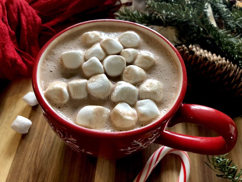 Hot cocoa stock image. Image of delicious, table, food - 134421653
