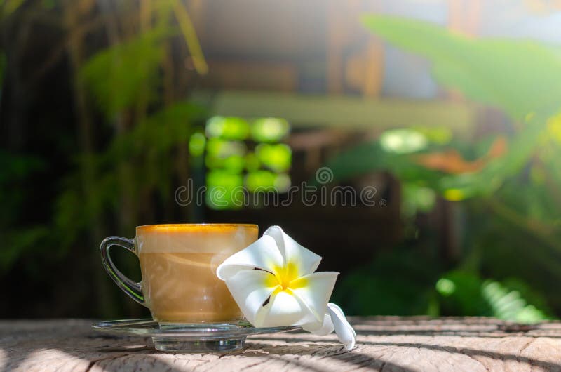 Hot Coffee on Table in Sunshine Day. Stock Photo - Image of beautiful ...