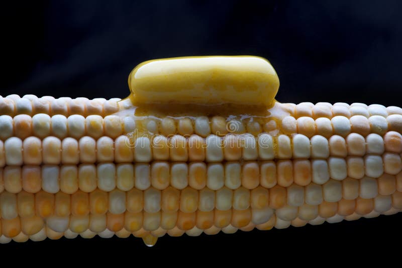 Hot corn stock photo. Image of gourmet, food, honey, steamy - 21102766
