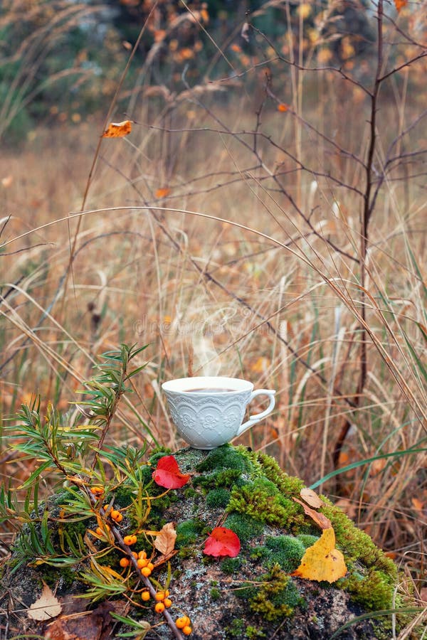 Hot Cup of Coffee on a Rock in Autumn Stock Image - Image of rock ...