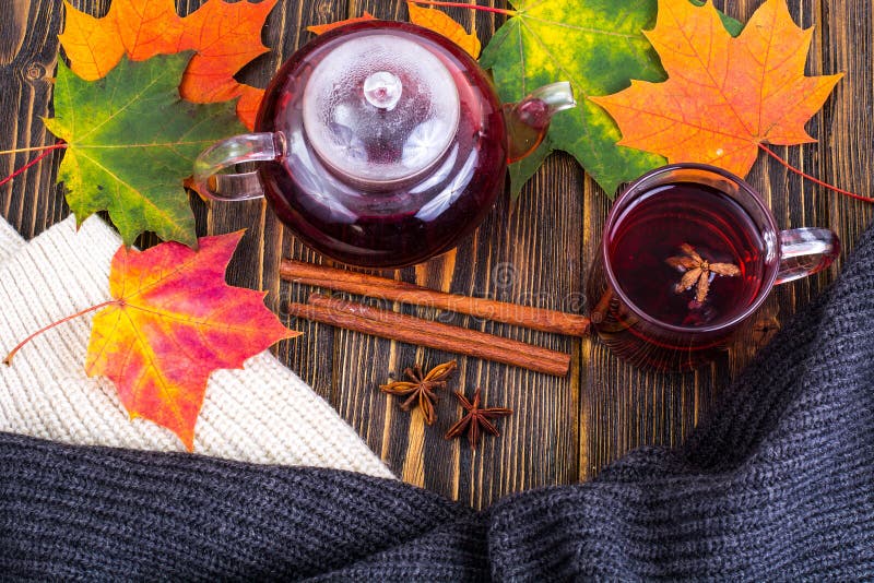 Hot cup with tea in autumn stock image. Image of nature - 101198849