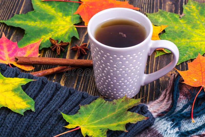 Hot cup with tea in autumn stock image. Image of home - 101196331