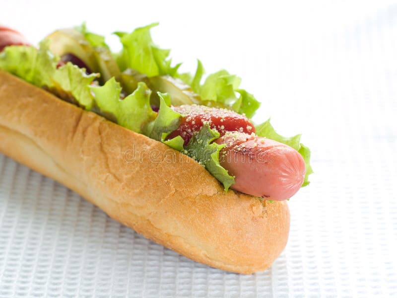 Hot Dog Picture. Image: 17221282