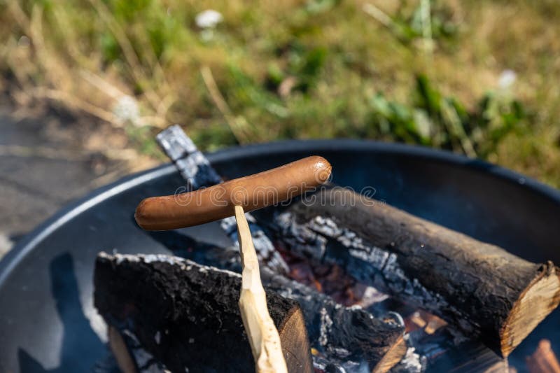 Hot Dog on a Stick Over a Fire.. Stock Photo - Image of meat, green ...