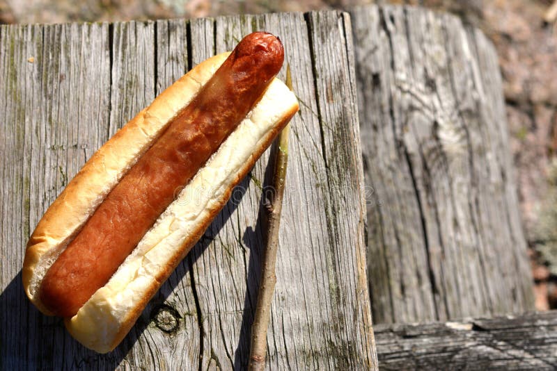 Hot dogs stock photo. Image of meat, sticks, camping - 38754334