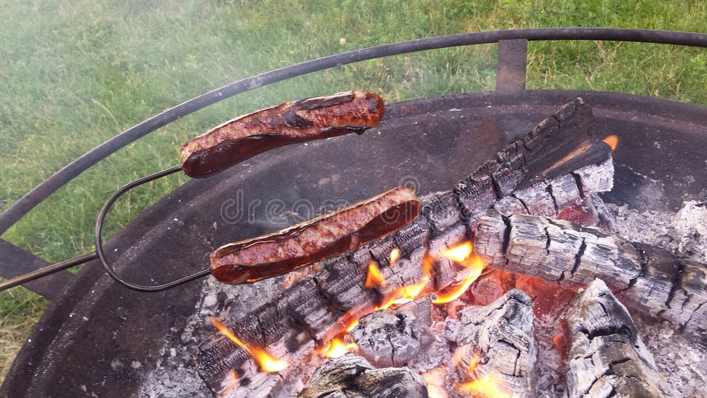 Hot dogs stock photo. Image of cooking, campfire, sausage - 98372330