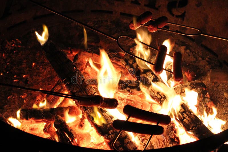 Hot Dogs over the campfire stock image. Image of cooking - 29509123