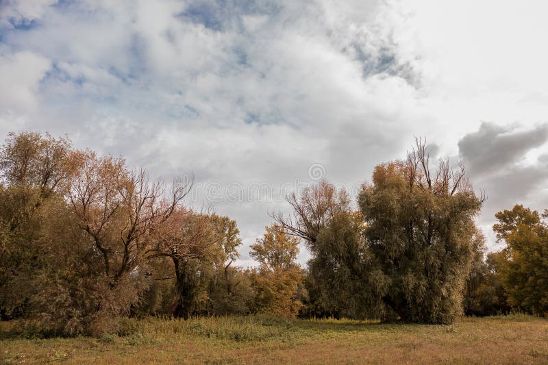 Hot and Dry Weather in the Mild Zone. Climate Change Concept Stock ...