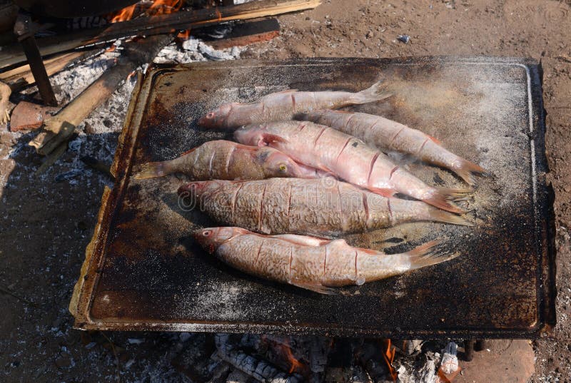 Hot Fish on a Grilling Pan September 2, 2016 Stock Image - Image of ...