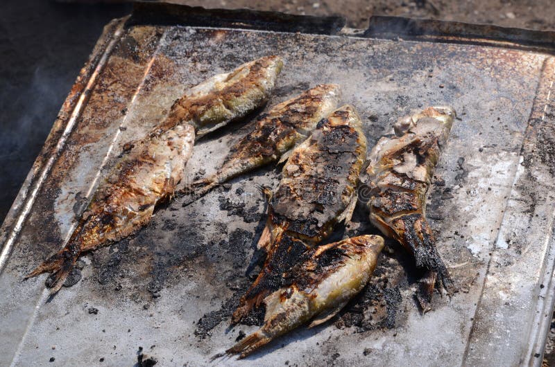 Hot Fish on a Grilling Pan September 2, 2016 Stock Photo - Image of ...
