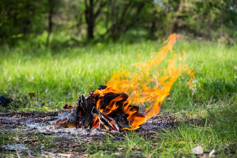 Hot flame of fire stock image. Image of green, heat, season - 92964975