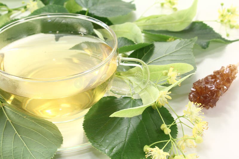 Hot Fresh Linden Blossom Tea Stock Image - Image of blossom ...