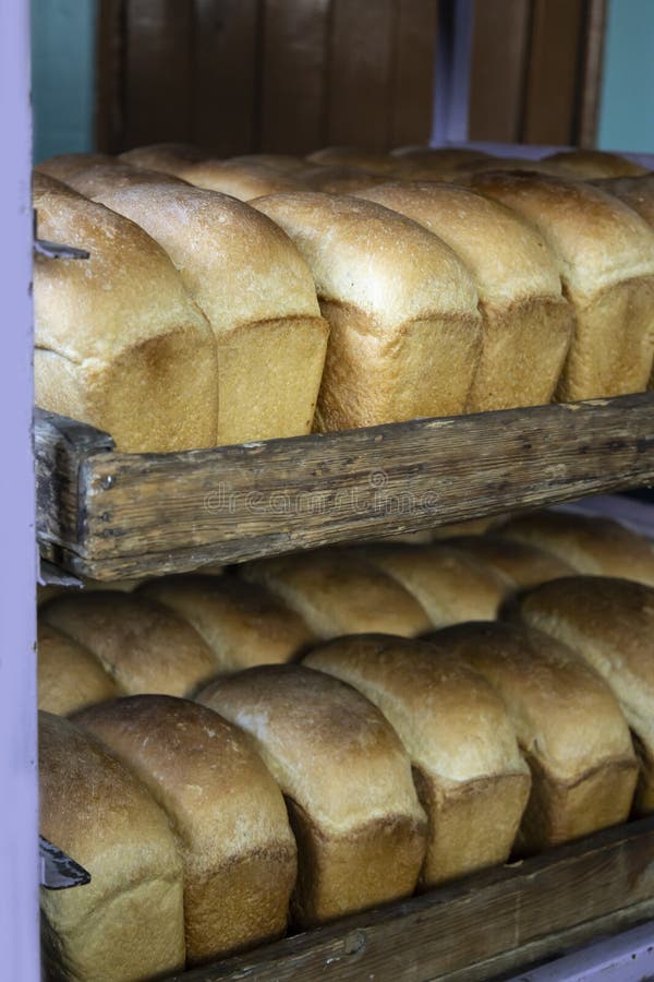 Hot Freshly Cooked Bread is Placed in Trays in the Bakery. Stock Image ...