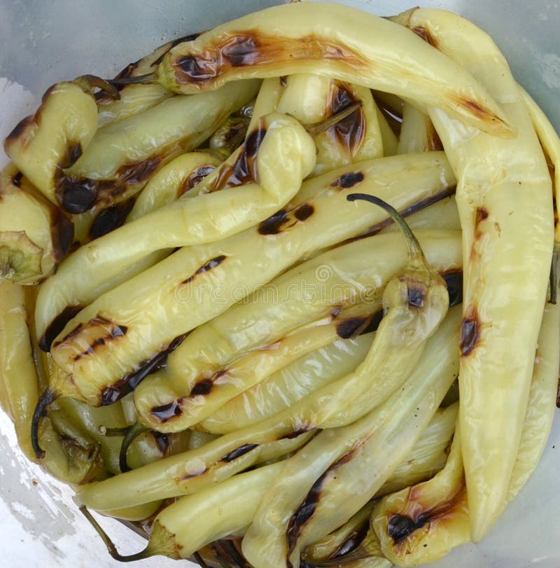 106 Chilli Snake Stock Photos - Free & Royalty-Free Stock Photos from ...