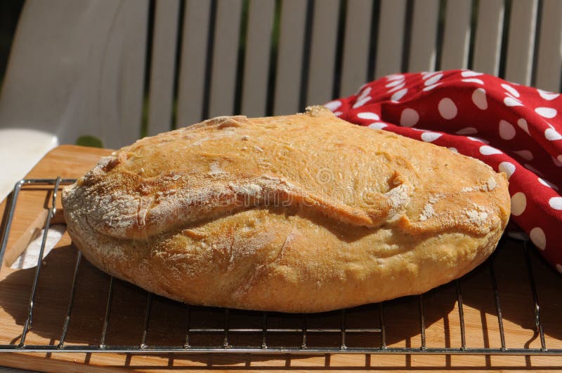 Hot Homemade Bread stock image. Image of flour, fresh - 18751277