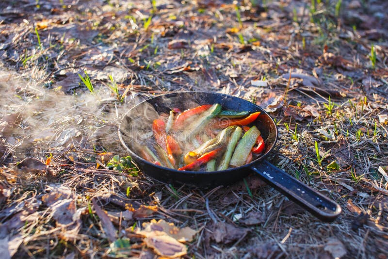 Hot Pan with a Dish of Red Peppers and Green Cucumbers on the Grass in ...
