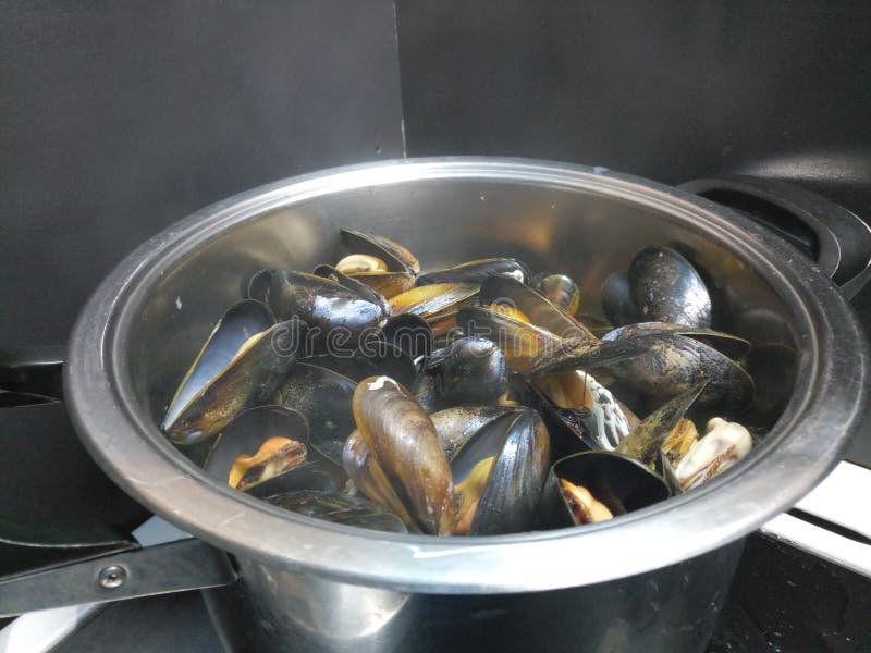 Hot Steaming Pot of Fresh Mussels Stock Photo - Image of steaming ...
