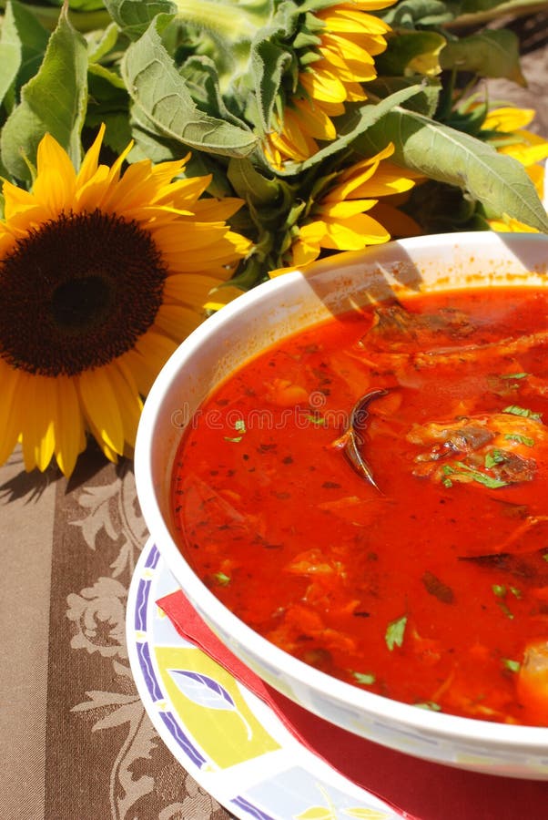 Hot Paprika Based Fish Soup Stock Photo - Image of bowl, riblji: 17337500