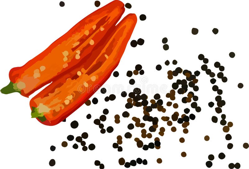 Pepper Seeds Stock Illustrations – 2,390 Pepper Seeds Stock ...