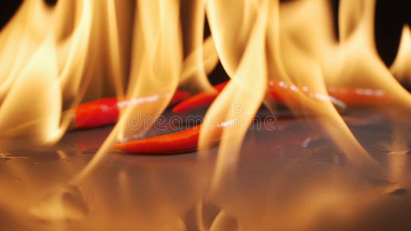 Hot pepper in fire stock video. Video of fiery, cayenne - 139716237