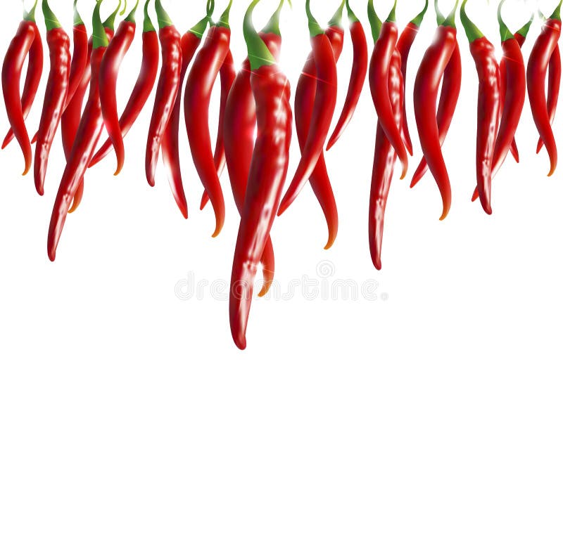 Red Hot Chile Pepper Ristras Painting Bright Stock Vector ...