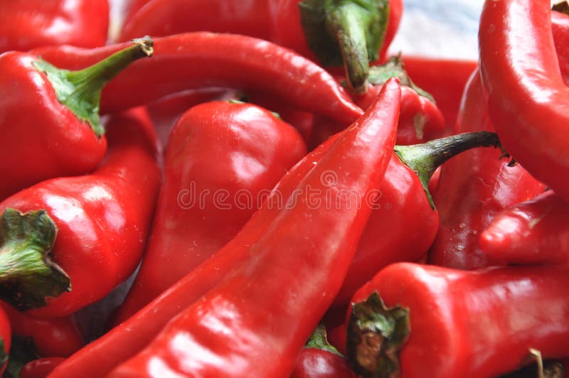 Hot Pepper. Pods Red Vegetables, Spicy Stock Image - Image of water ...