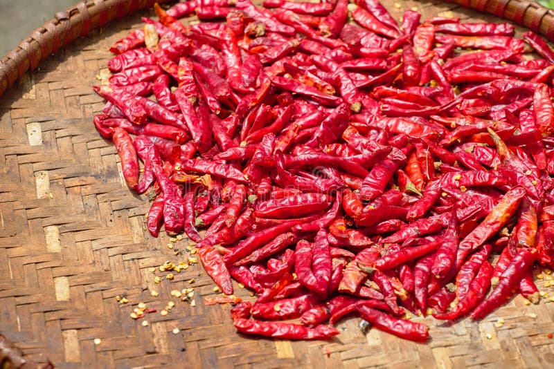 Hot Pepper, Seasoning, Dried in the Sun Stock Photo - Image of spice ...