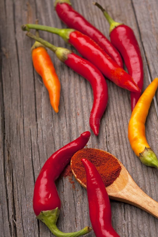 Hot pepper and spices stock image. Image of copy, ingredient - 36010139