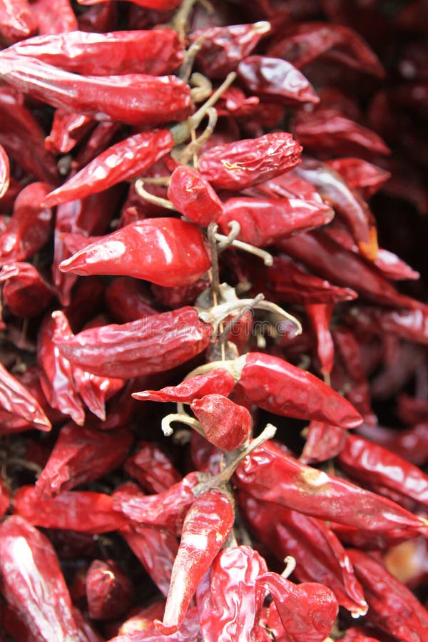 Red Hot Pepper String Isolated on White Background, Clipping Path ...