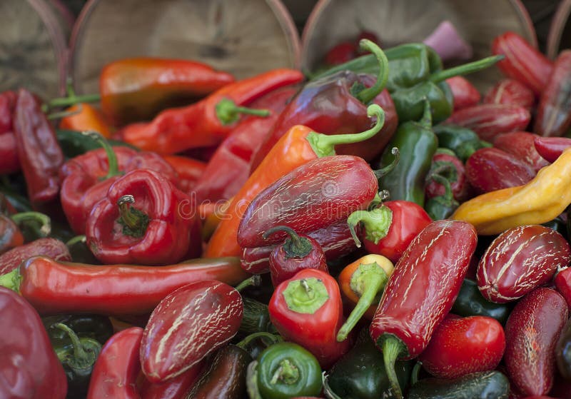 Hot peppers stock photo. Image of tasty, jalapeaplusmn - 26697272