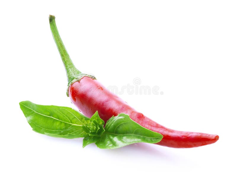 Hot Peppers with Basil Leaf. Stock Photo - Image of ingredient, fruit ...