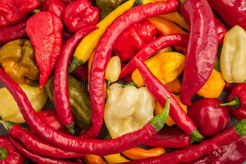 Hot peppers stock image. Image of cayenne, chili, mexican - 33849087