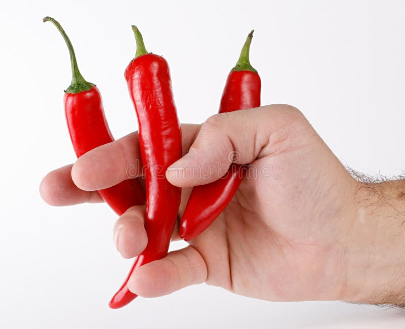 Hands Holding Chilli Peppers Stock Photo - Image of looking, organic ...