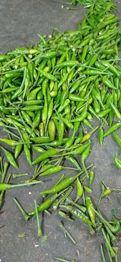 Hot Peppers are Not Half As Severe As Life& X27;s Trials Stock Photo ...