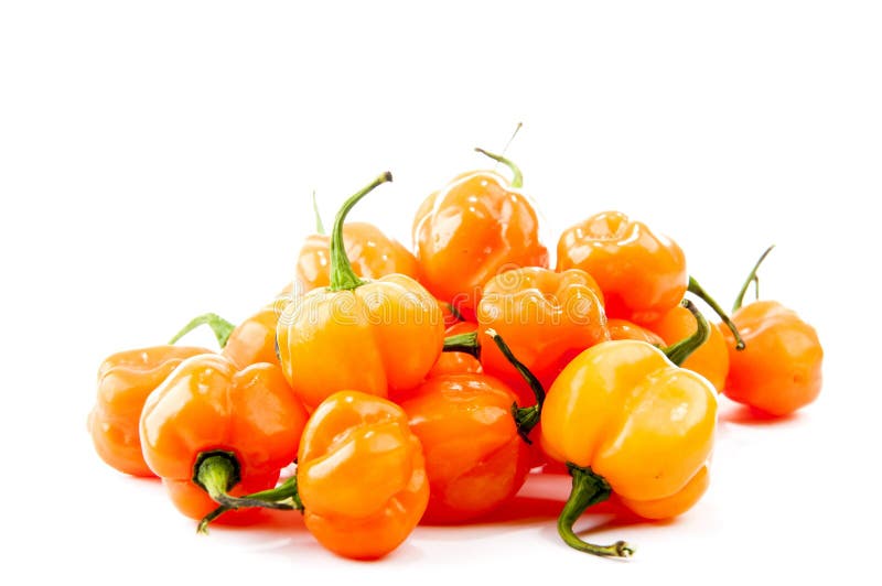 Hot peppers stock photo. Image of organic, gourmet, macro - 36302136