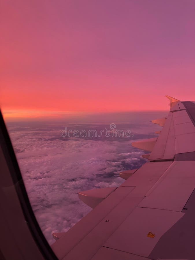 Hot pink airplane sunset stock photo. Image of flight - 106059778