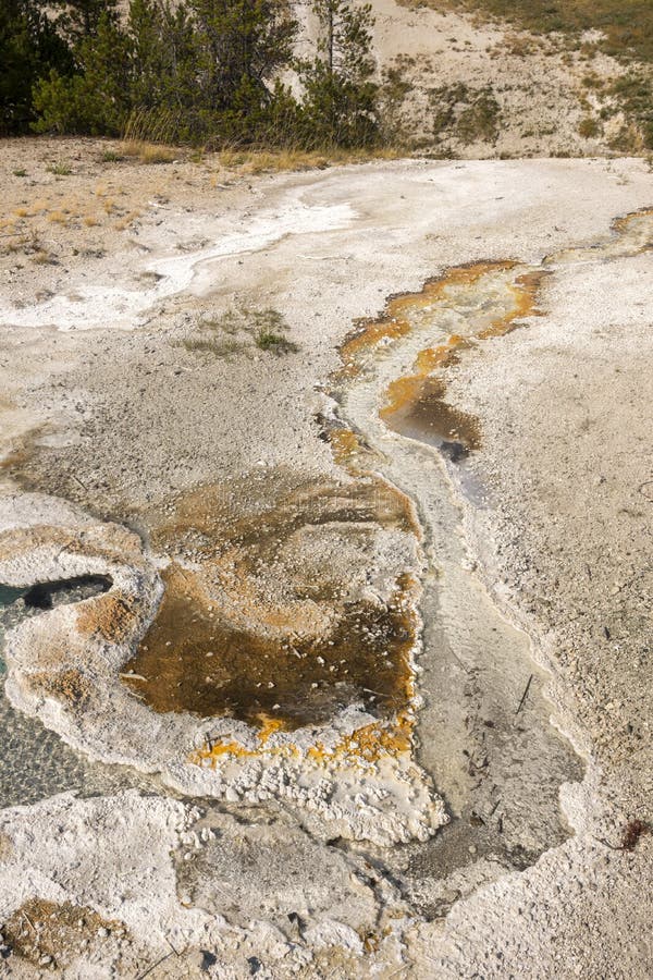 Hot Pools in Yellowstone National Park Stock Photo - Image of acid ...