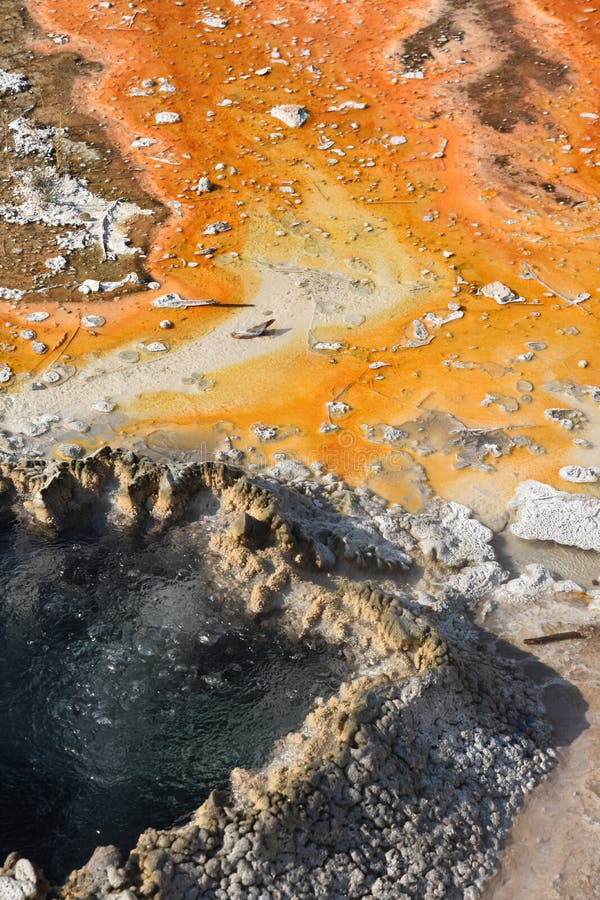 Hot Pools in Yellowstone National Park Stock Photo - Image of acid ...