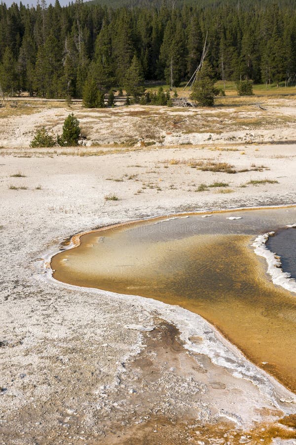 Hot Pools in Yellowstone National Park Stock Image - Image of acid ...