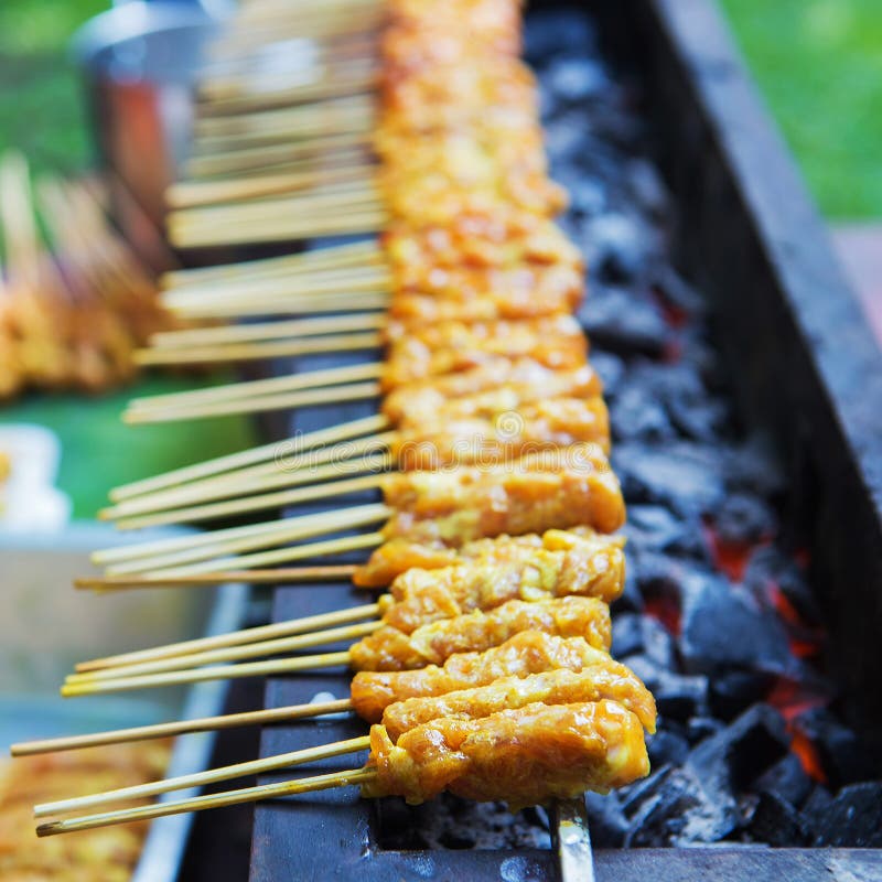 Hot pork satay stock photo. Image of cooking, meat, thai - 70744284