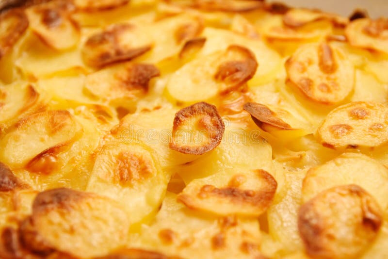 Hot potatoes stock photo. Image of browned, fresh, cheese - 4473618