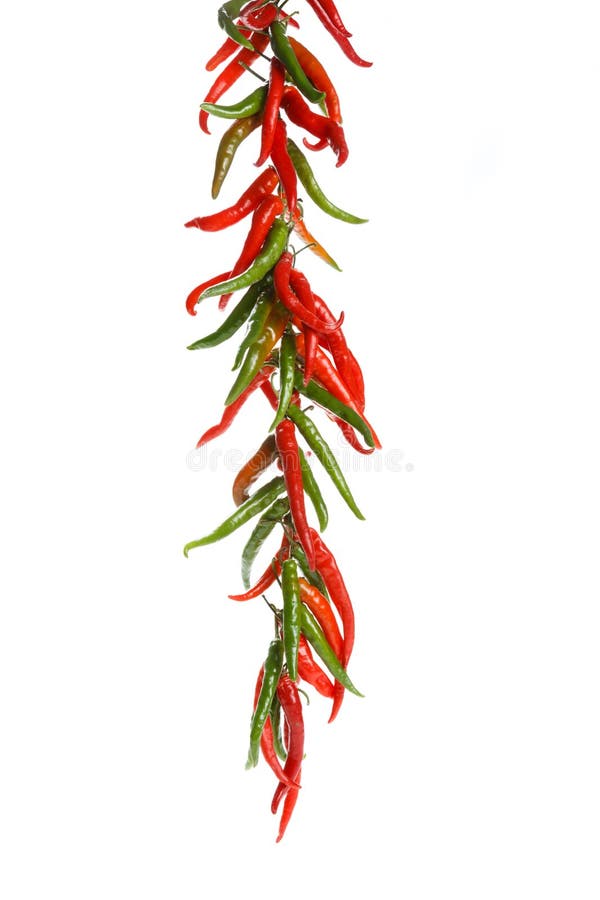 244 Chili Ristra Svg Stock Photos - Free & Royalty-Free Stock Photos ...