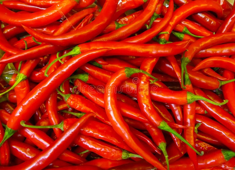 A Hot, Hot Red Chili Pepper in a Box Stock Image - Image of agriculture ...