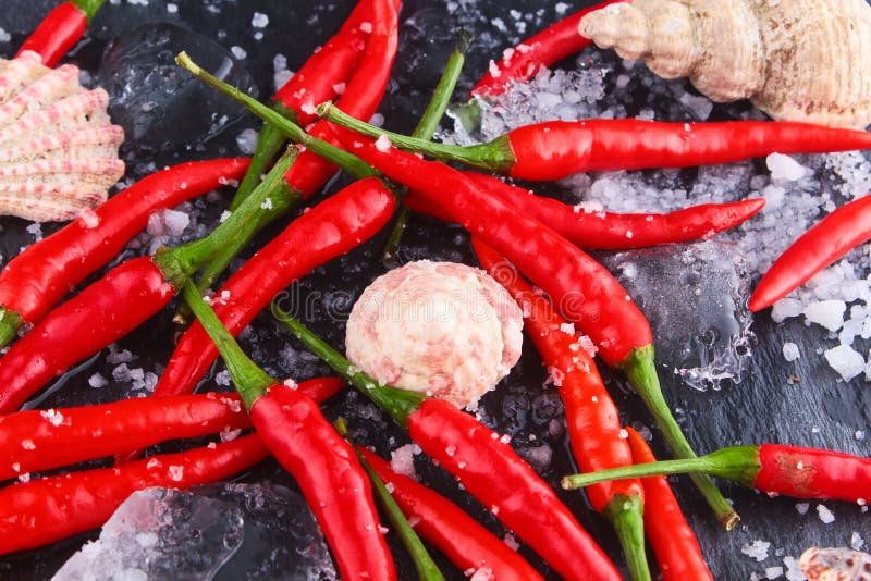 Hot Red Chili Pepper stock image. Image of food, black - 58783637