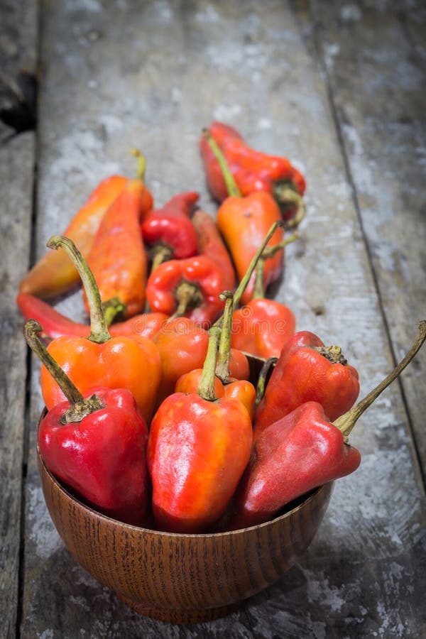Hot red chilli stock image. Image of fresh, eating, seasoning - 60541383