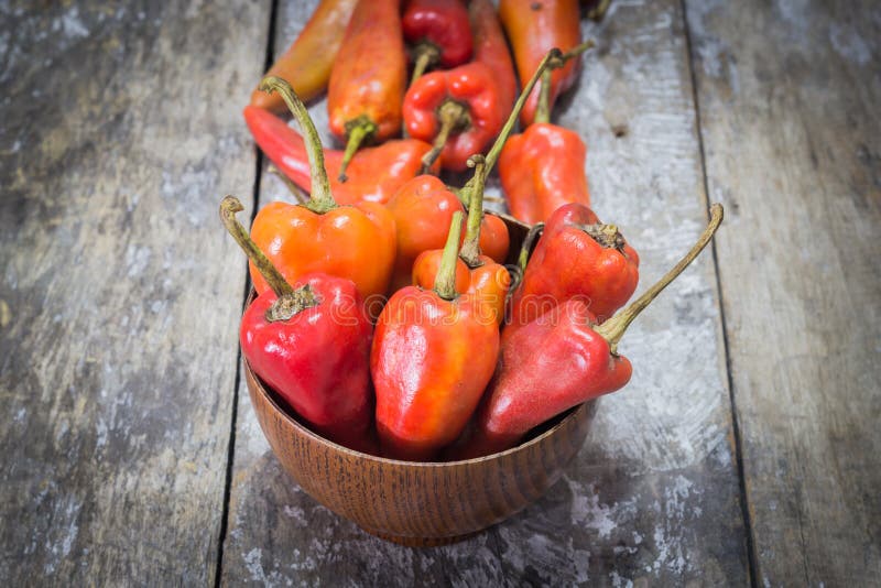 Hot red chilli stock image. Image of fresh, eating, seasoning - 60541383