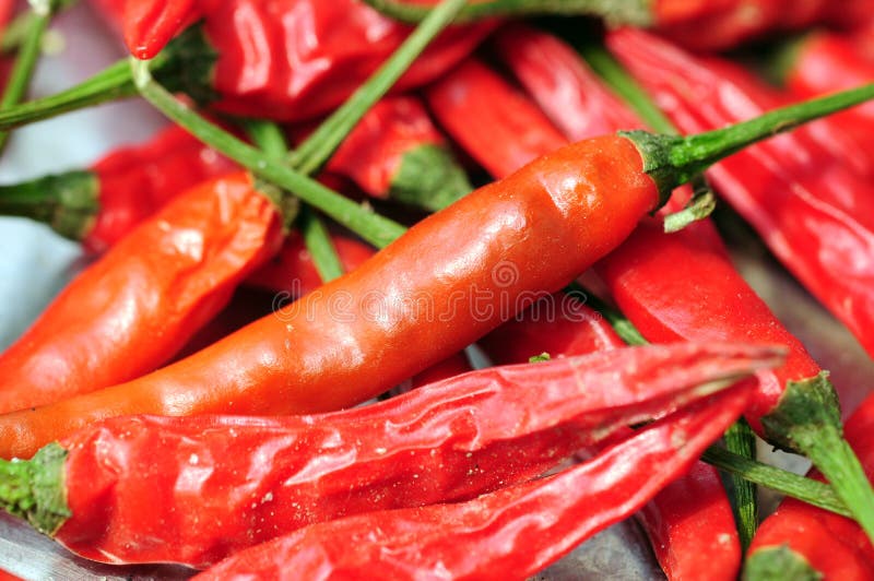 Hot red chillies stock image. Image of factor, green - 10995993