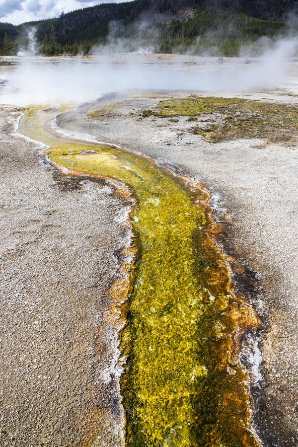 Hot River at Yellowstone National Park. USA. Stock Image - Image of ...