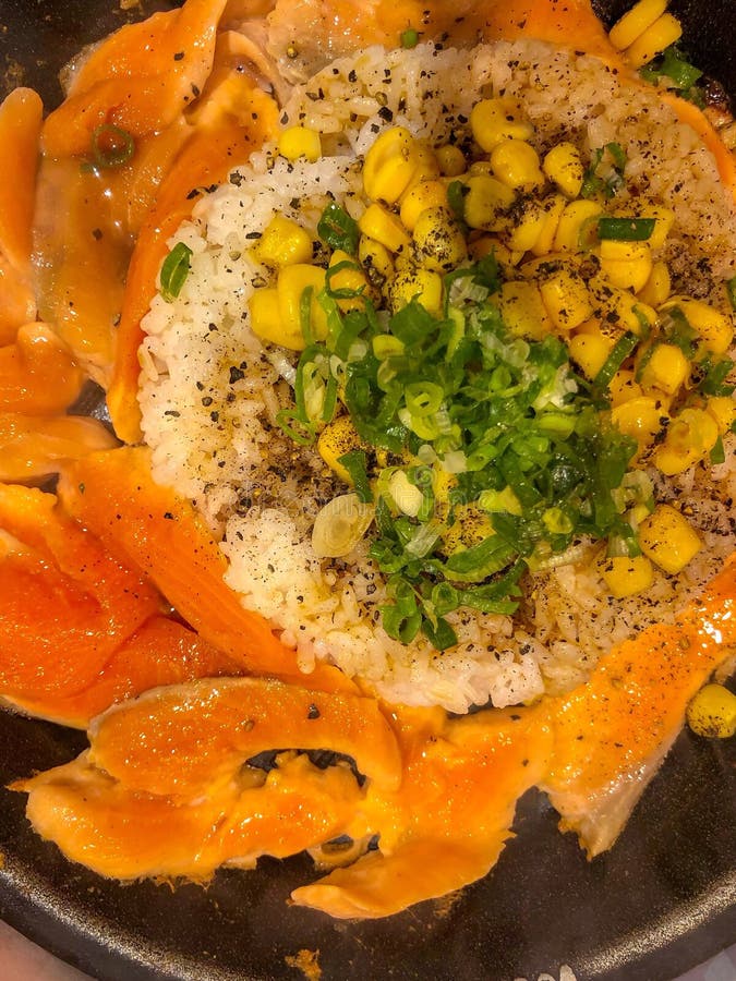 Salmon with rice stock image. Image of closeup, diet - 126398009