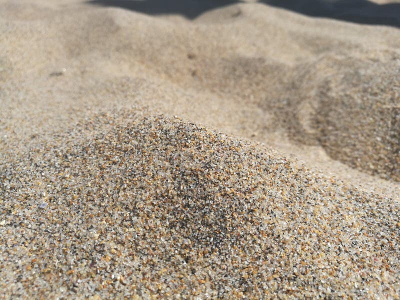 Hot sand closeup stock photo. Image of wildlife, produce - 246896066